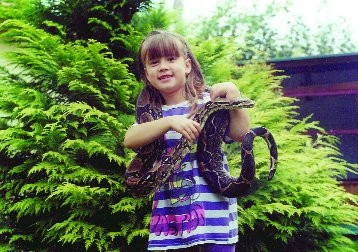 Hroznýš královský | iFauna.cz