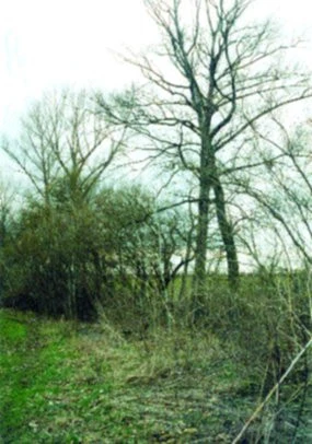 To je haluz! | iFauna.cz