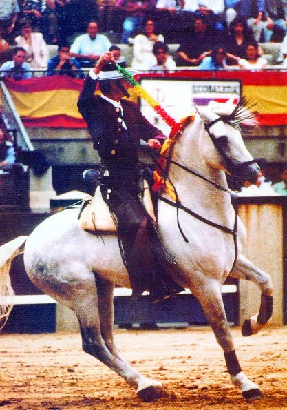 Korida na koni | iFauna.cz