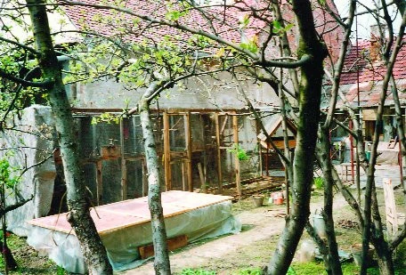 JAK PŘIPRAVUJI KANÁRY NA HNÍZDĚNÍ | iFauna.cz