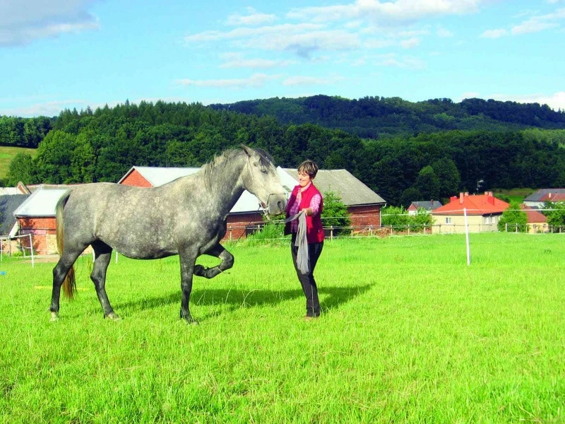 Kůň v pohodě Díl 12.: Začínáme koně vodi... | iFauna.cz