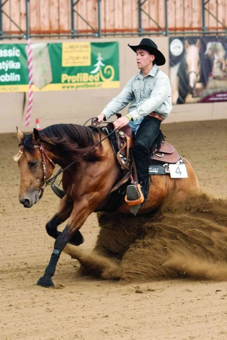 Dynamický sport – to je reining | iFauna.cz