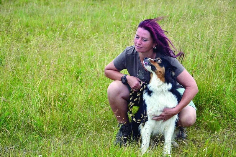 Výchova rodinného psa – Pochvala, odměna... | iFauna.cz