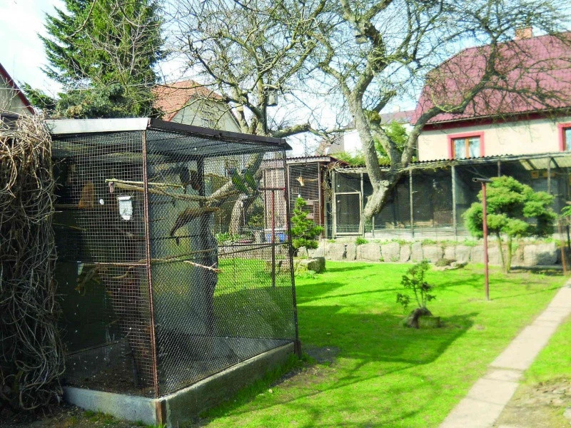 Venkovní voliéry a tzv. škodná – část 1. | iFauna.cz