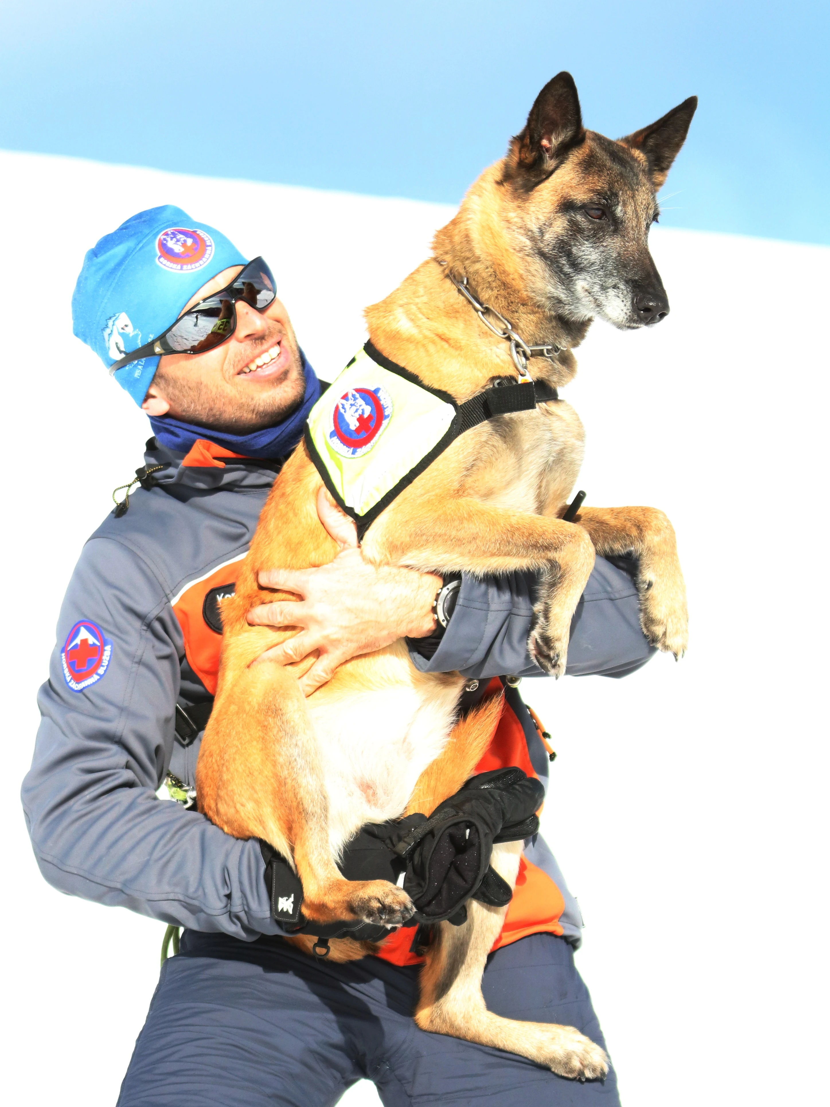 Lavinový výcvik psů nepolevuje | iFauna.cz